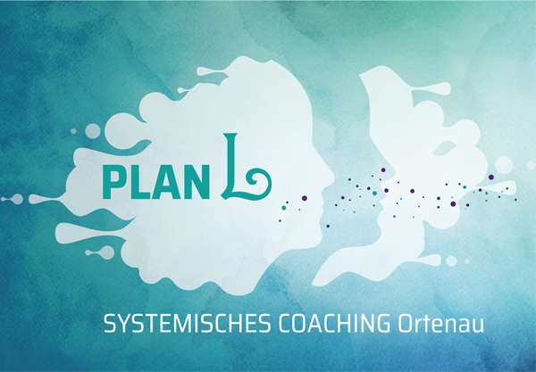 Systemisches Coaching Ortenau - St. Galler Coaching Modell